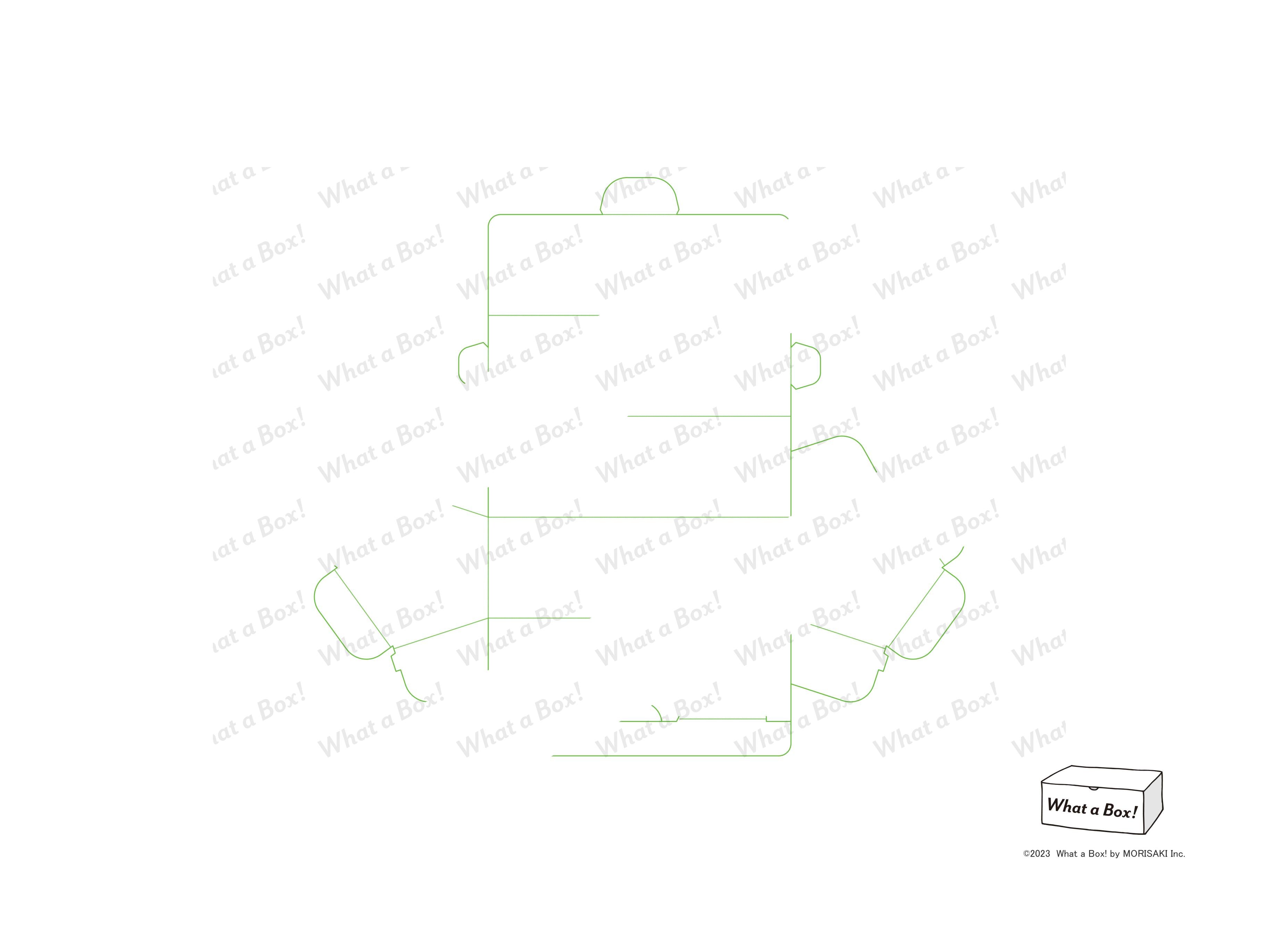Horizontal pentagonal case – What a box! -original structural package ...